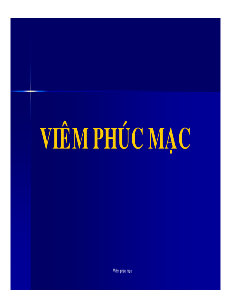 Viem Phuc Mackkkkk | PDF