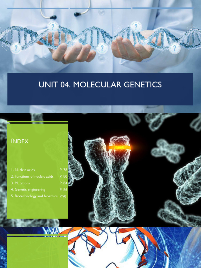Unit 04. Molecular Genetics | PDF | Rna | Dna