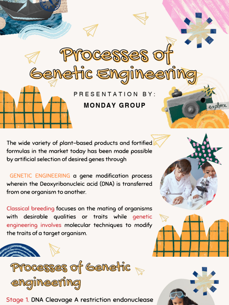 Genetic Engineering Techniques Explained | PDF | Molecular Cloning ...