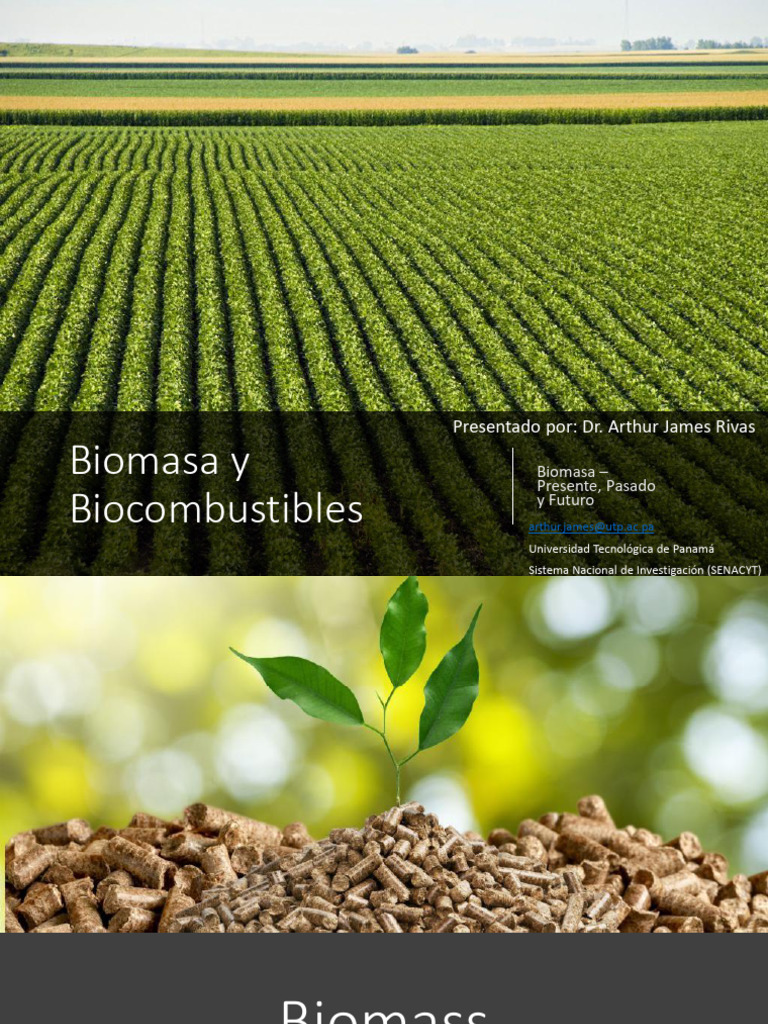 Biomasa y Biocombustibles - Clases 1 | PDF | Residuos | Biomasa