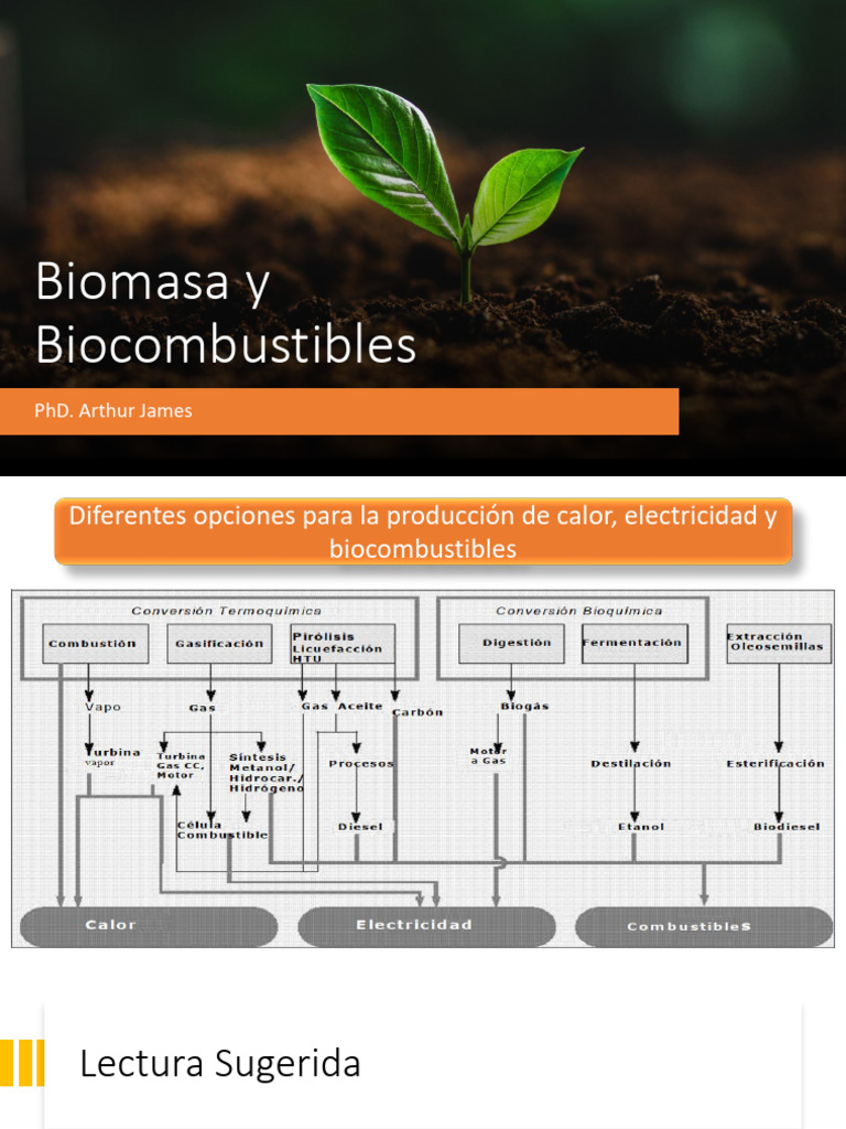Biomasa y Biocombustibles - Class 3 | PDF | Gasificación | Pirólisis