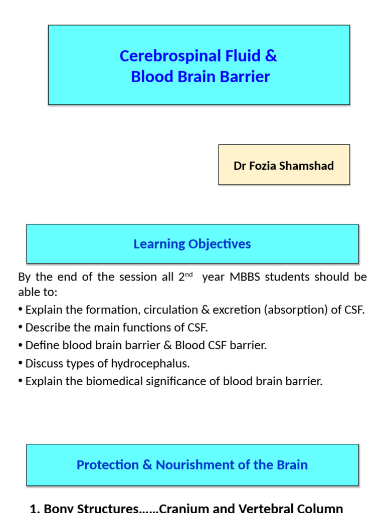 CSF, Blood Brain Barrier | PDF | Cerebrospinal Fluid | Meningitis