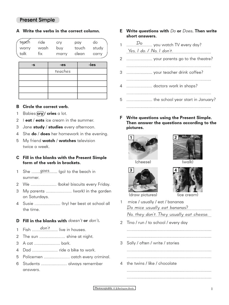 Present Simple 1 | PDF