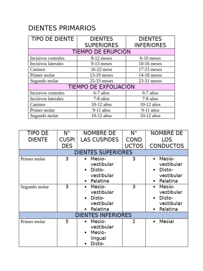 DIENTES PRIMARIOS y Permanentes Imagenologia | PDF | Anatomia dental ...