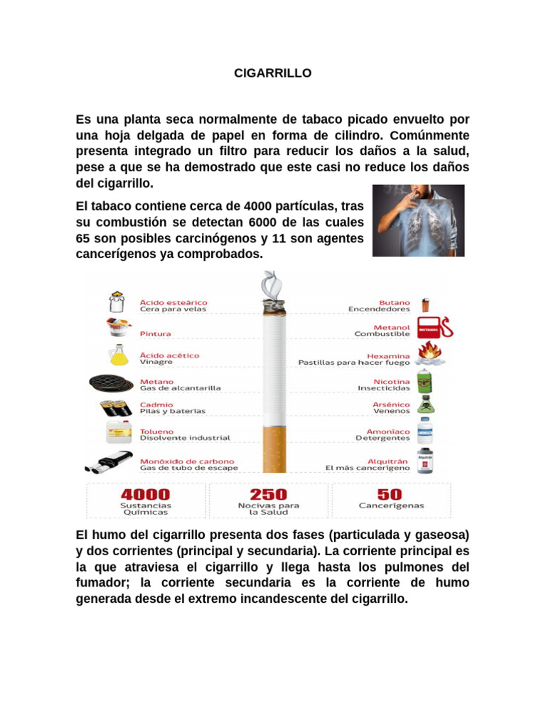 Efectos del cigarrillo en la salud | PDF | Cigarrillo | Cáncer