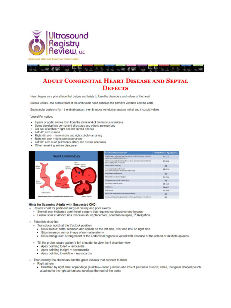 USRR echo adult congenital heart disease and septal defects | PDF