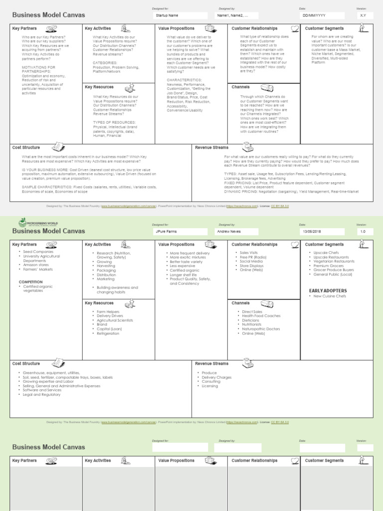 Business Model Canvas Instructions | PDF | Business Model | Pricing