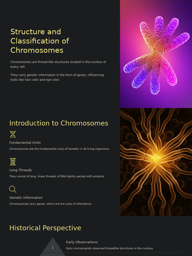 Structure and Classification of Chromosomes | PDF | Chromosome | Ploidy