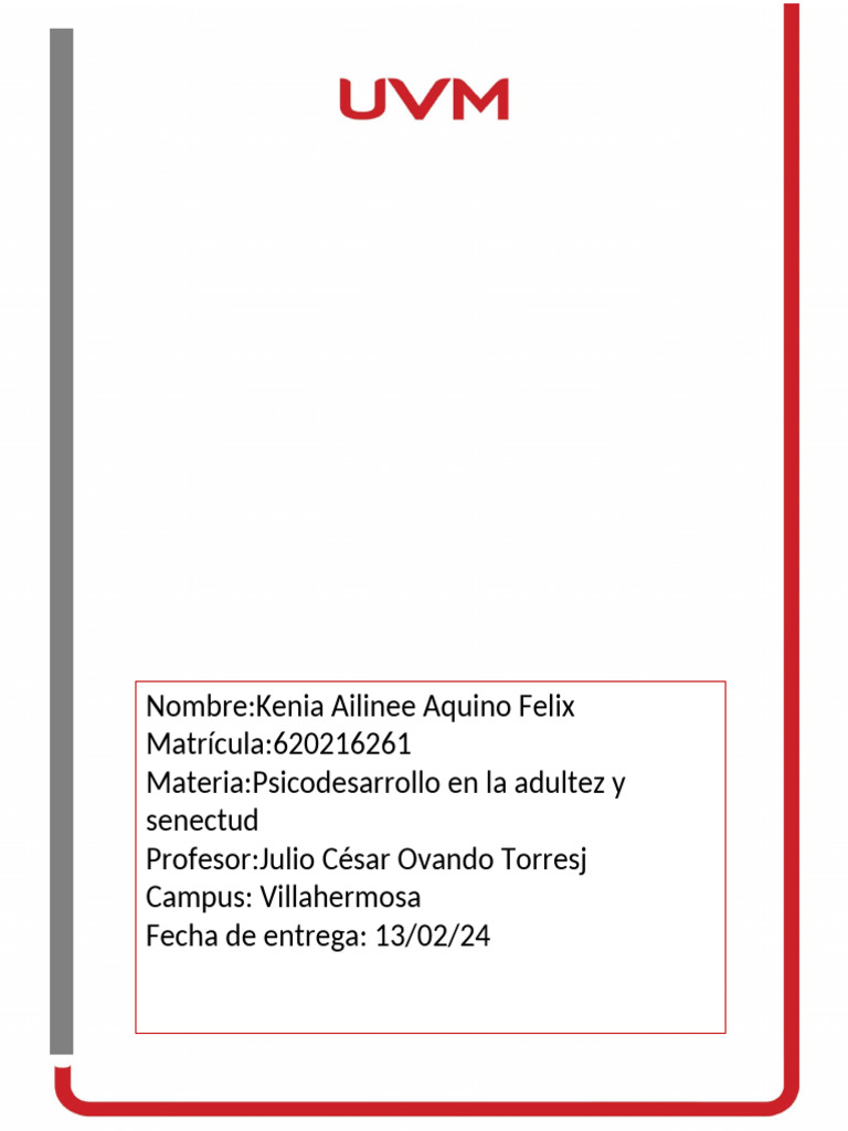 Entrevista Semi-Estructurada | PDF