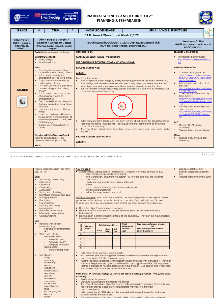 Grade 4 Lesson Plan: Living vs Non-Living | PDF | Learning | Lesson Plan