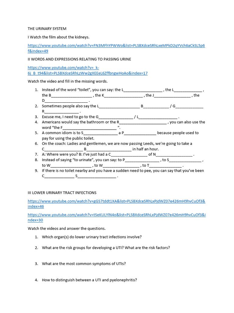 Understanding the Urinary System | PDF | Urinary Tract Infection ...