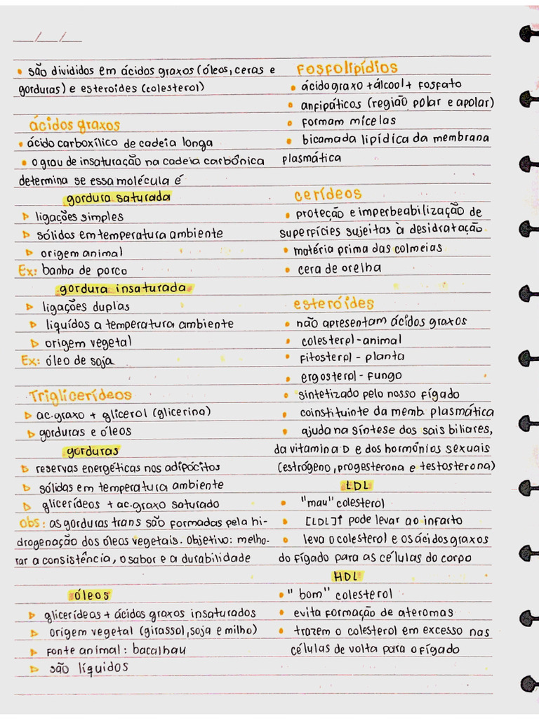 Carboidratos+e+Lip%C3%ADdios+02 | PDF