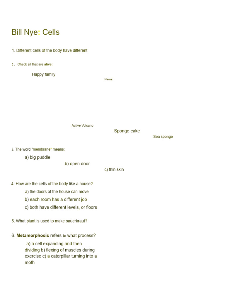 Bill Nye - Cells Video Work | PDF | Cell (Biology) | Sponge