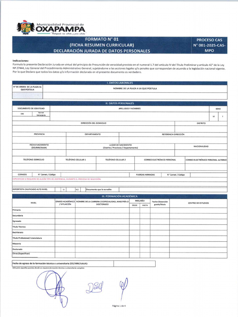 Formato Anexo 1 | PDF
