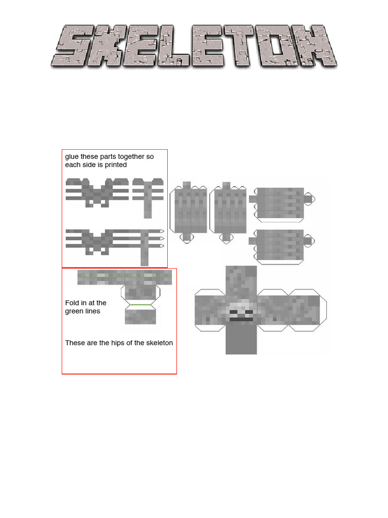 Assembling a Skeleton Model Guide | PDF
