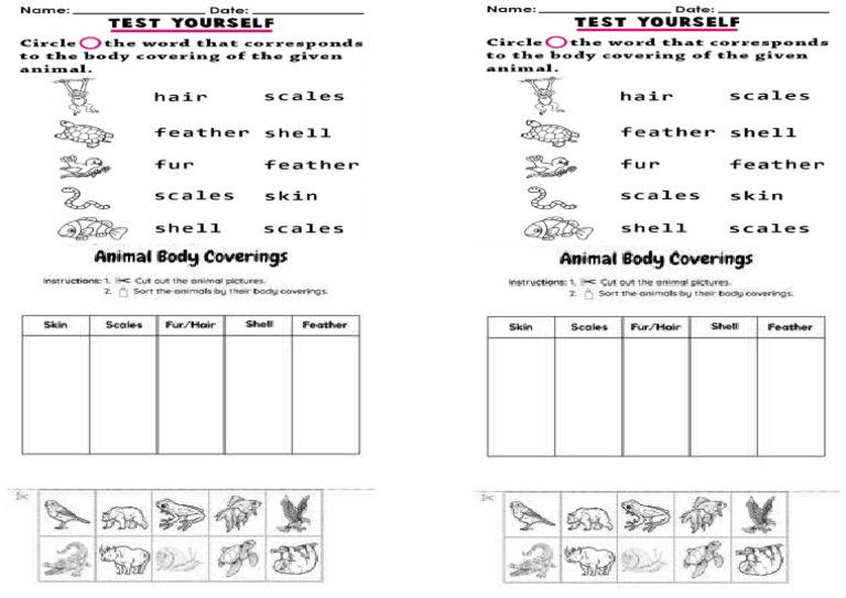 animals body covering | PDF