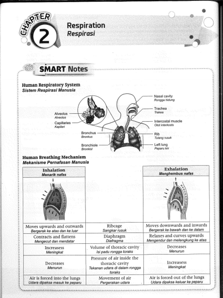 Pelangi TOP F3 Science C2 Respiration | PDF