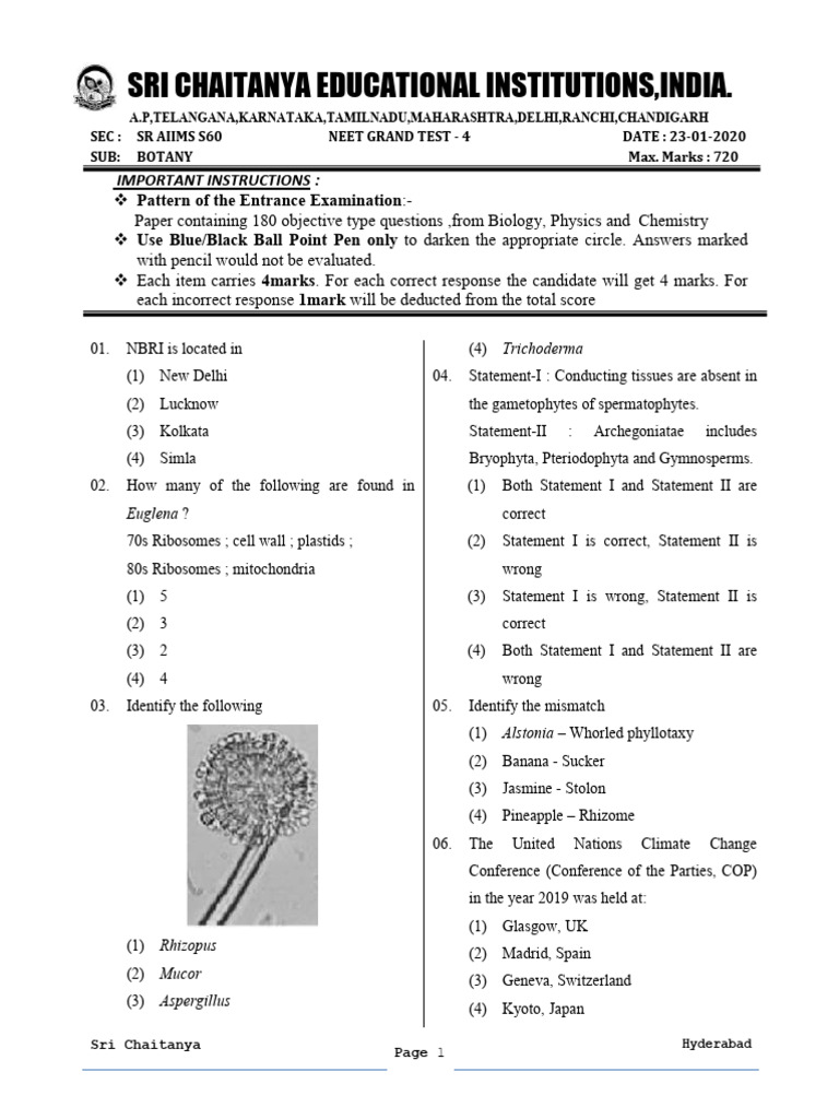 NEET Test Series 24 | PDF | Kidney