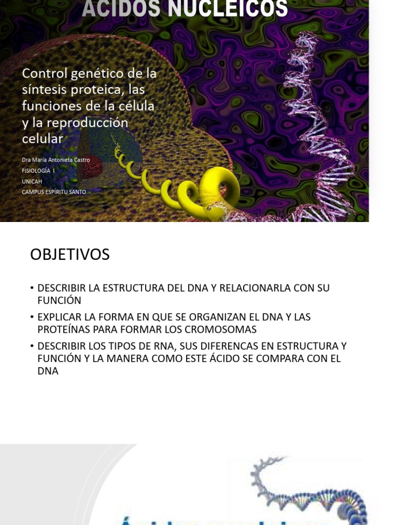 Control Genético y Síntesis de Proteínas | PDF | Adn | Rna
