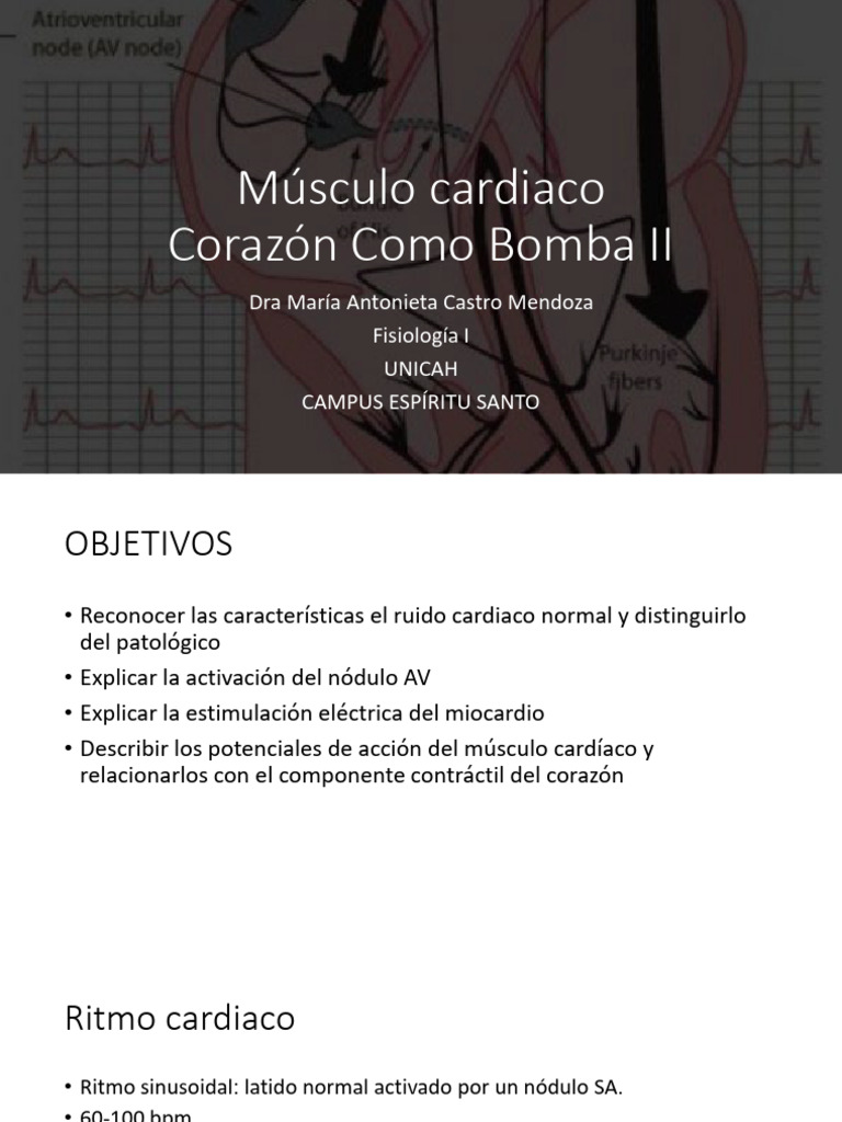 Corazon como bomba (2)_compressed (1) | PDF | Potencial de acción | Corazón