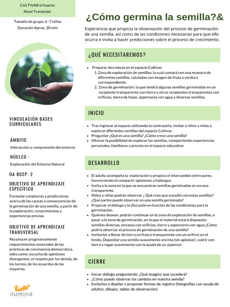 Como Germina La Semilla Transicion | PDF | Semilla | Germinación