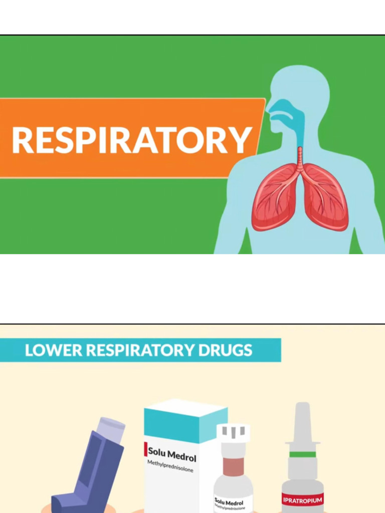 Respiratory PDF | PDF