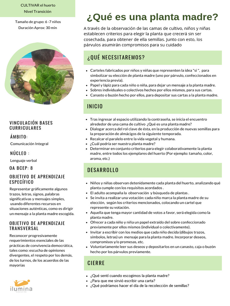 Que Es Una Planta Madre Transicion | PDF | Educación de la primera infancia | Huerta