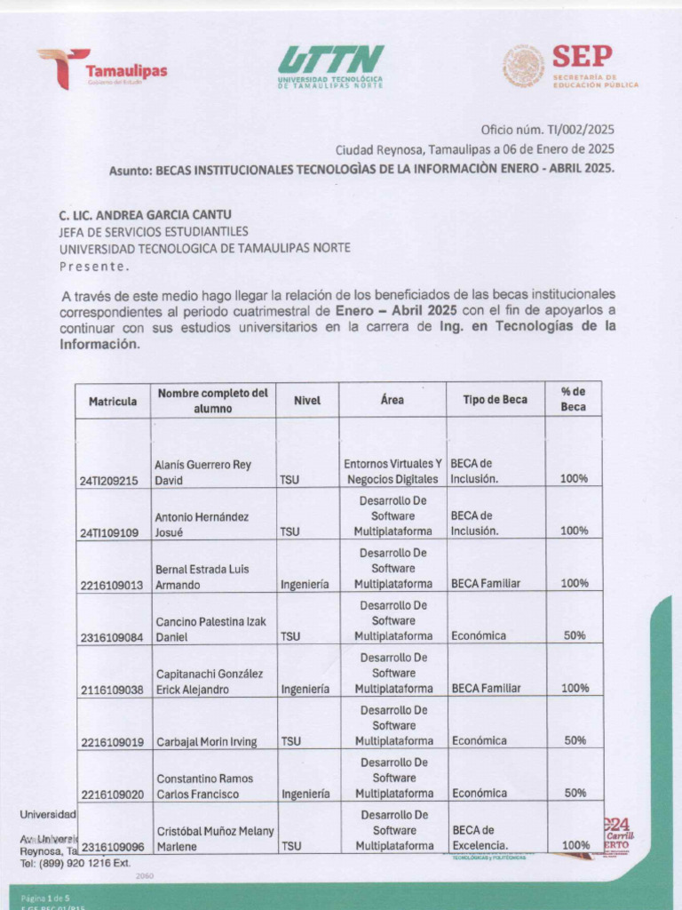 Becas Institucionales TI | PDF