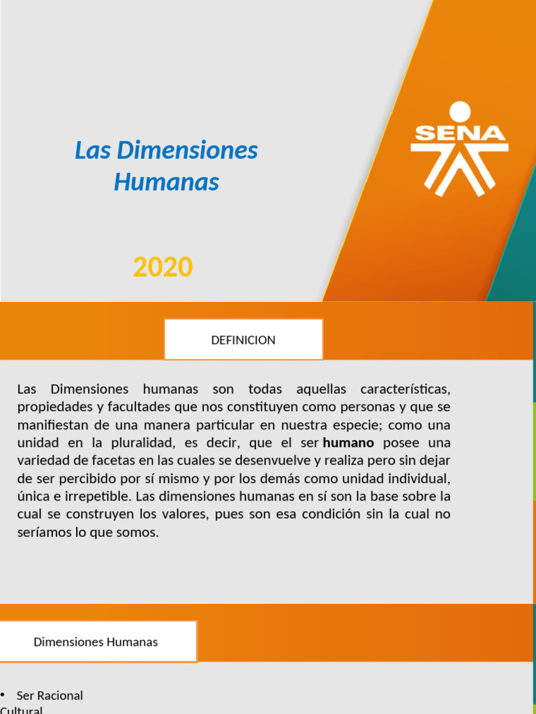 Zaadry Mendoza Dimensiones Humanas Grupo Tsig18 | PDF | Racionalidad | Sicología