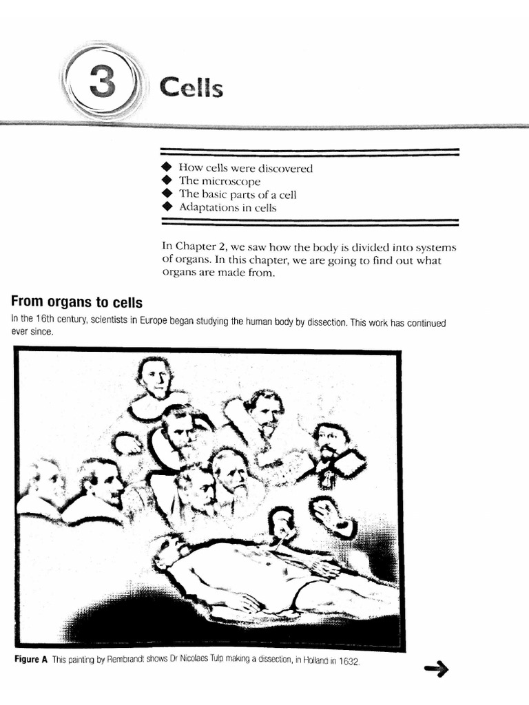 cells_text_notes | PDF