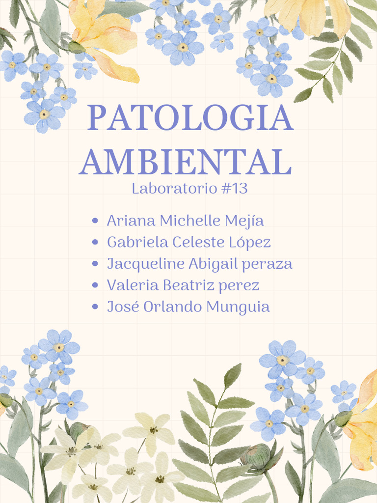 Portada Lab#13 | PDF