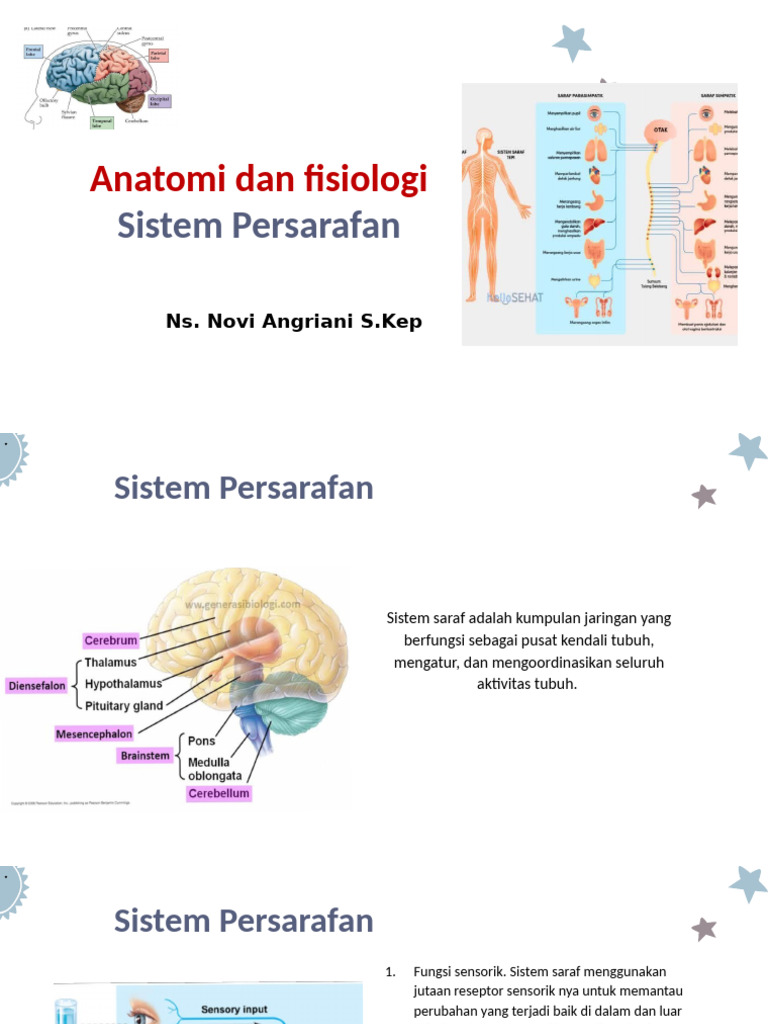 Sistem Persarafan SMK | PDF