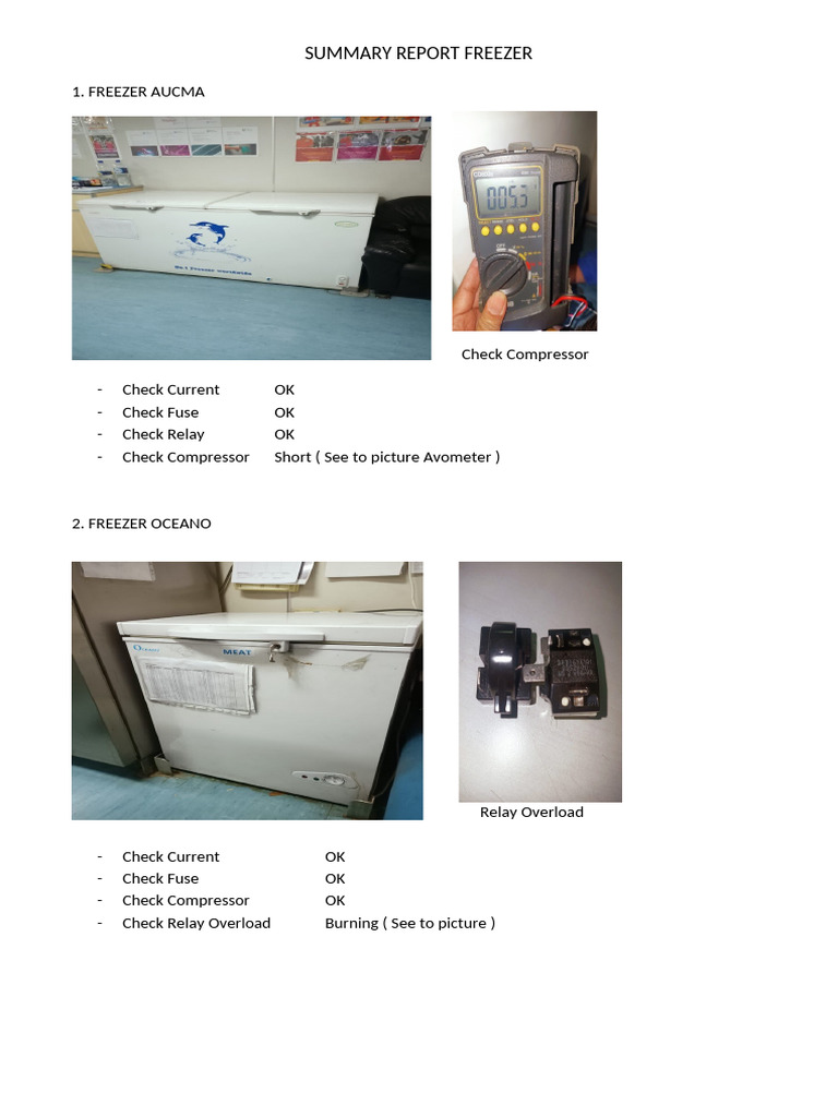 Summary Report Freezer | PDF
