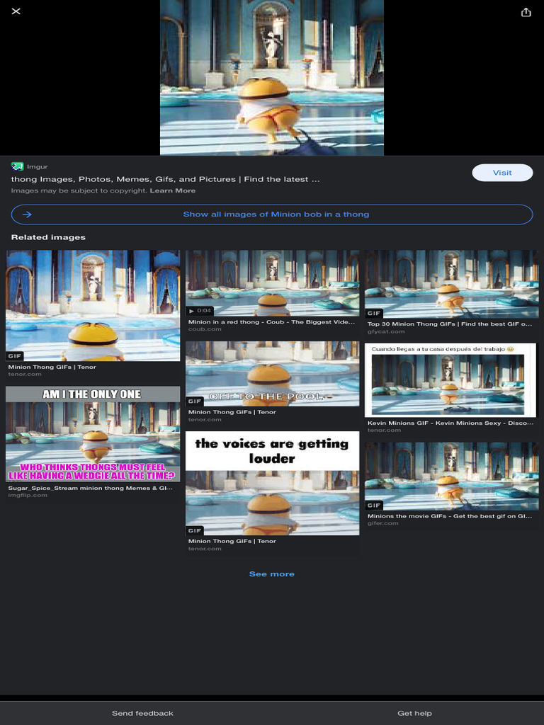 Minion Bob in a Thong Meme | PDF | Undergarment