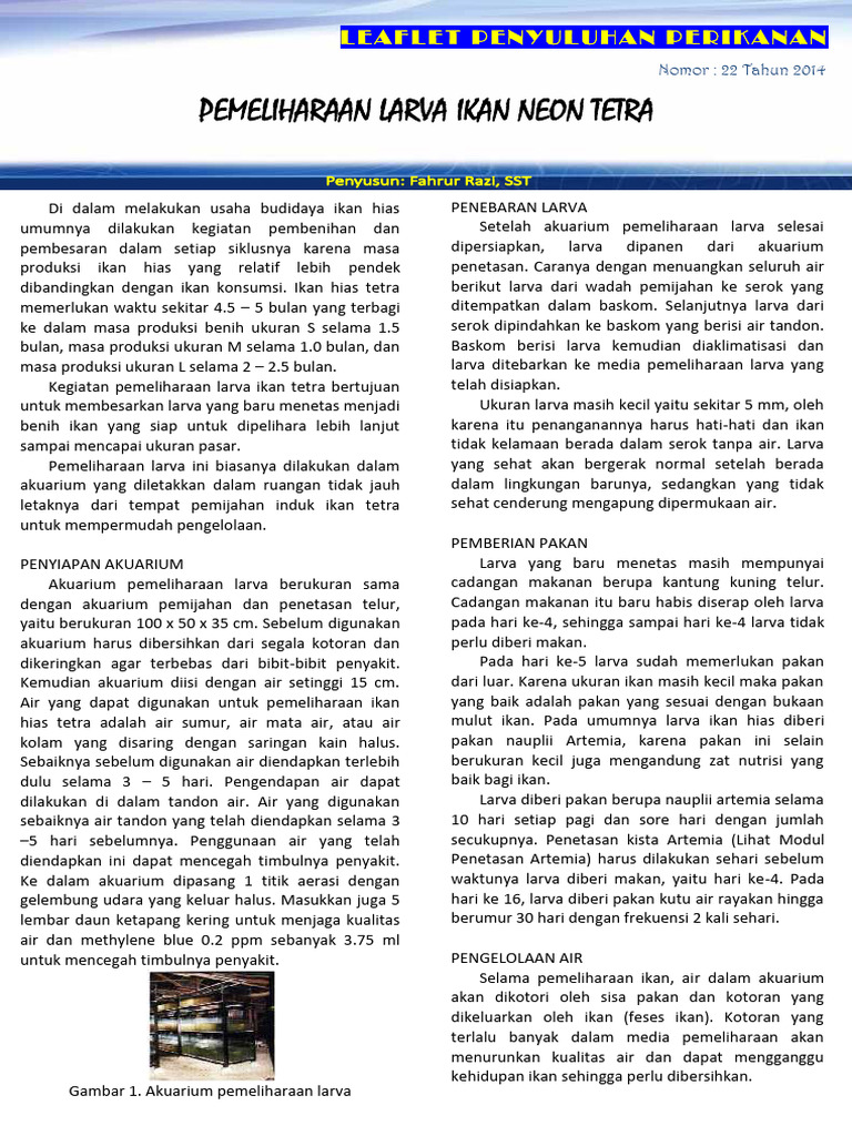 Leaflet 22 - Pemeliharaan Larva Ikan Neon Tetra | PDF