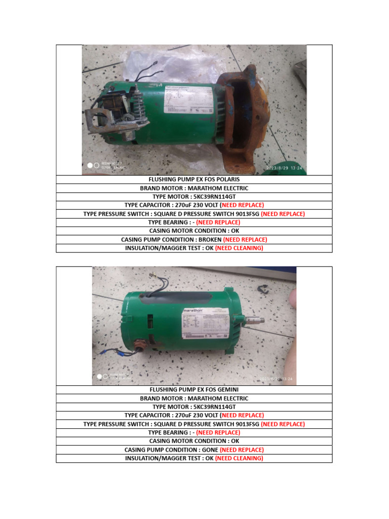 Flushing Pump Repair Needs Summary | PDF