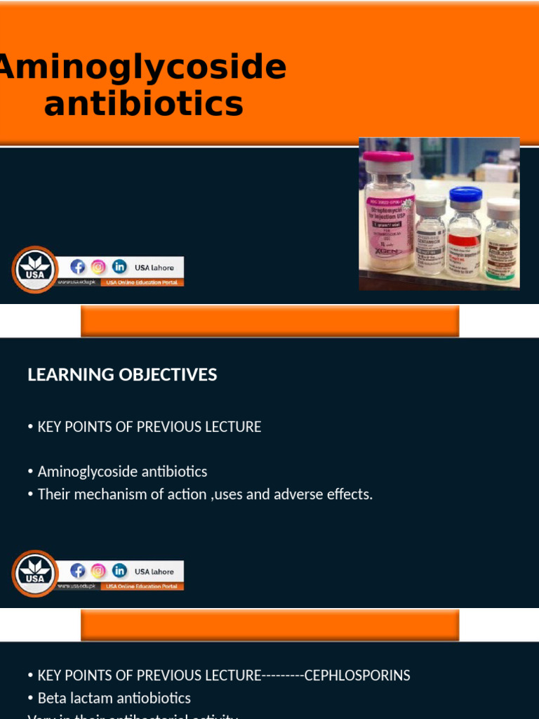 AMINOGLYCOSIDES | PDF | Antibiotics | Medical Specialties