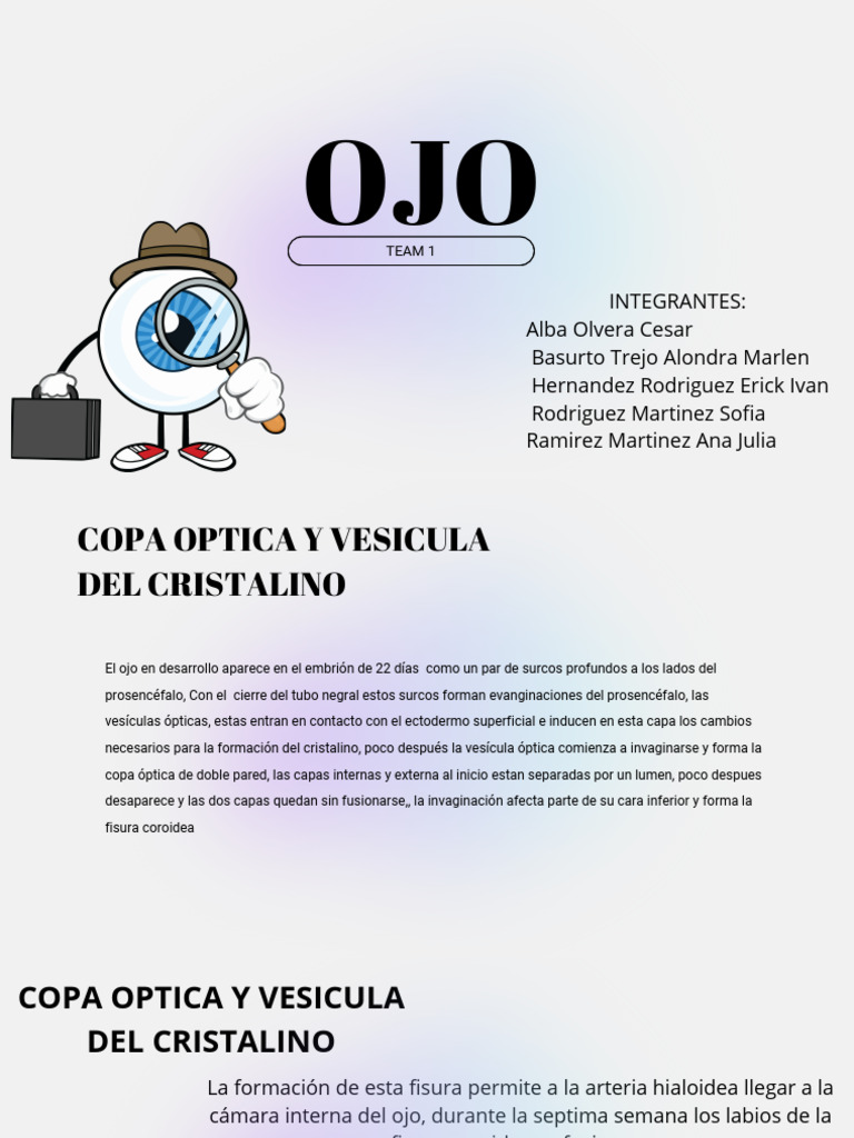 Embriología del Ojo en Desarrollo | PDF | Ojo humano | Oftalmología
