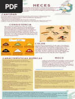 Tipos y características de las heces | PDF | Heces | Especialidades Medicas