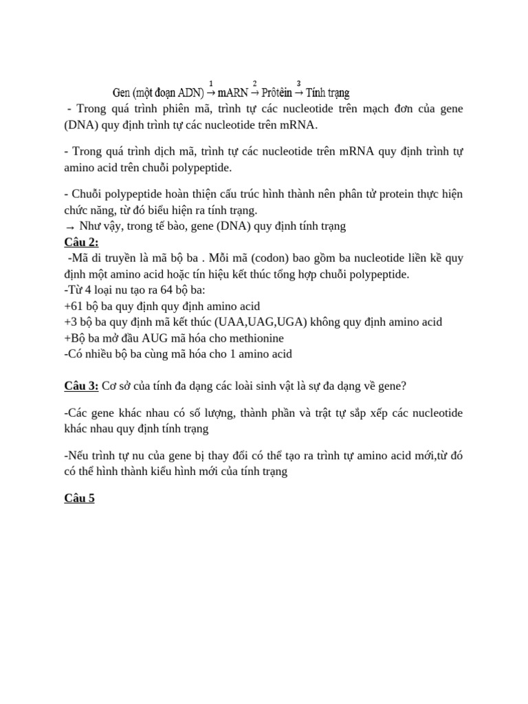 Sinh | PDF