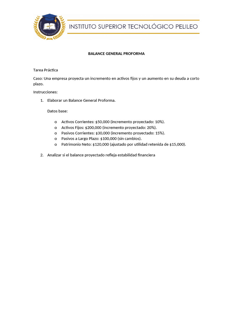 Balance General Proforma | PDF