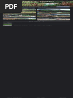 Shumba Murambwi - Totems - Co.zw | PDF | Zimbabwe