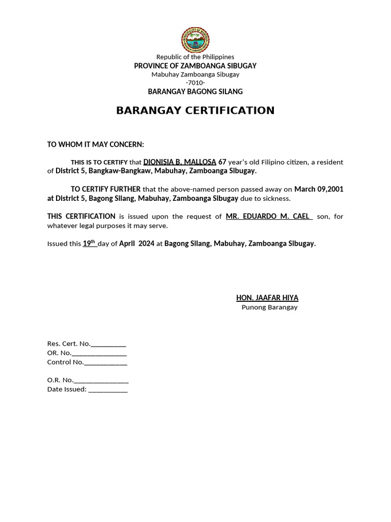 Barangay Death Certificate | PDF