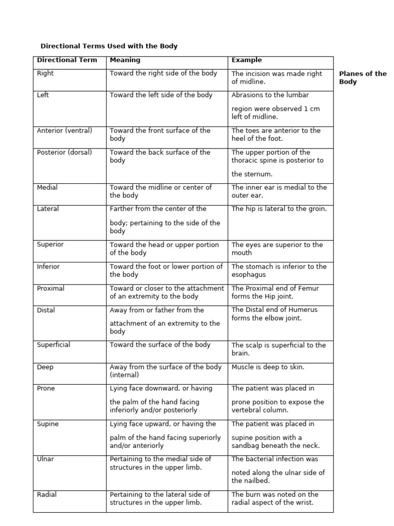 Anatomical Terms | PDF | Anatomical Terms Of Motion | Anatomical Terms ...