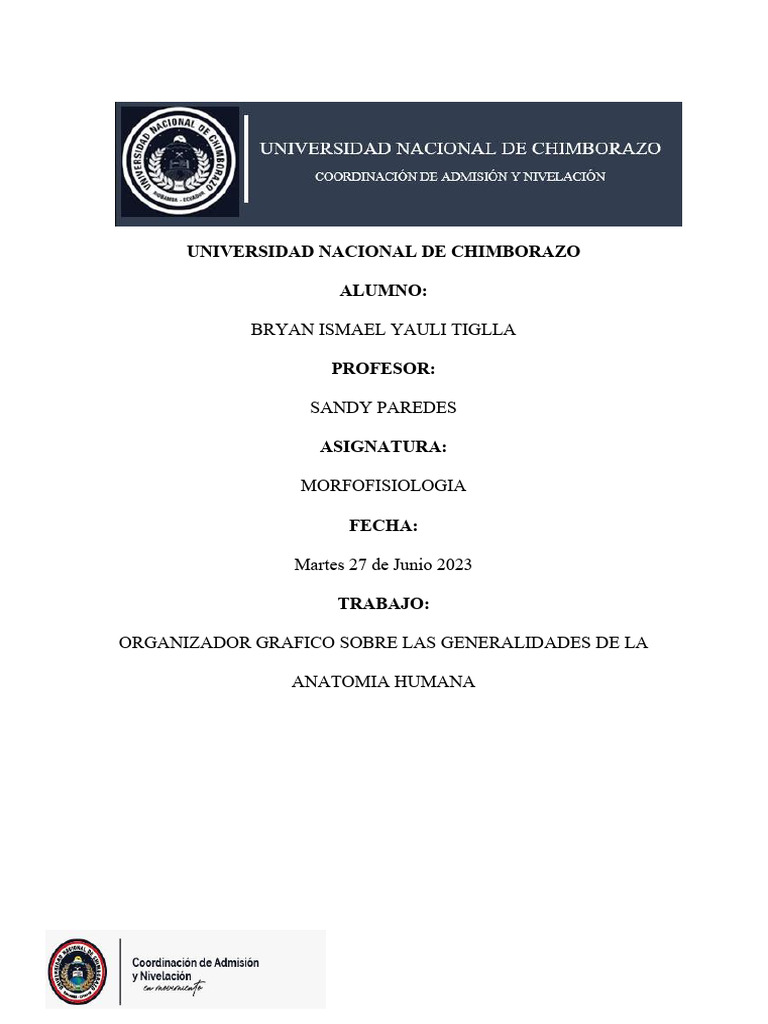 Morfo Organizador | PDF