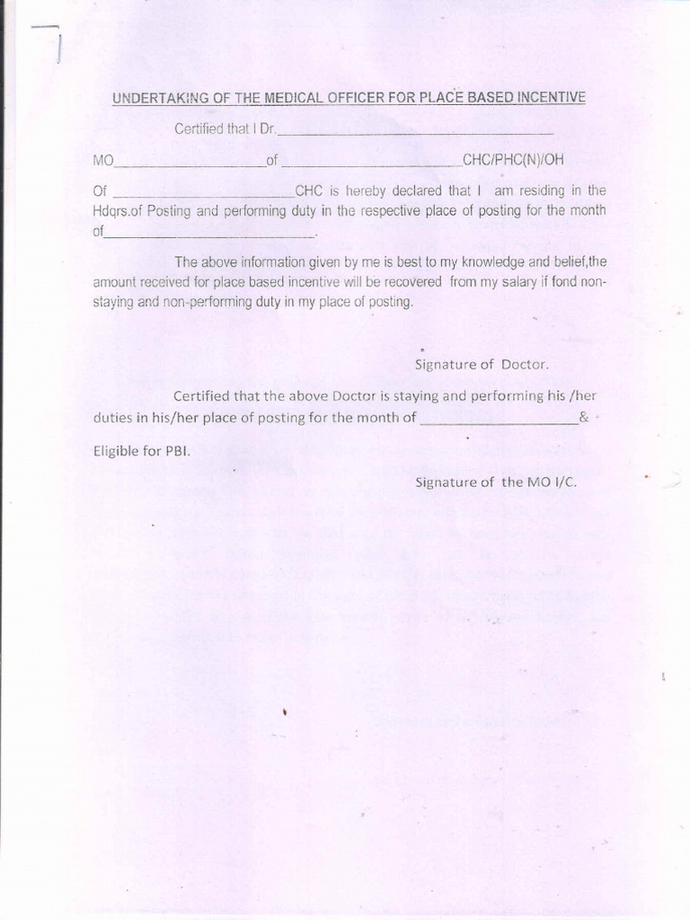 Pbi Format To Be Submit Every Month by Each M.O With Work Certificate | PDF