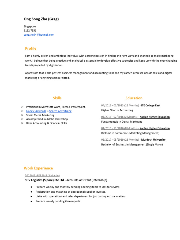 Digital Marketing & Admin Skills Profile | PDF | Computing | Business ...