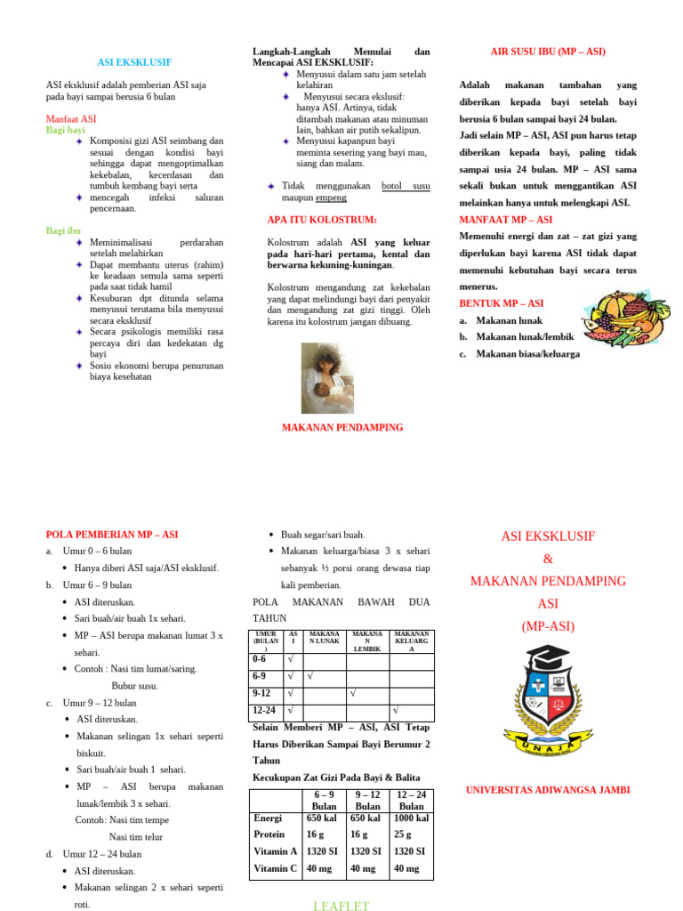 LEAFLET MP-ASI | PDF