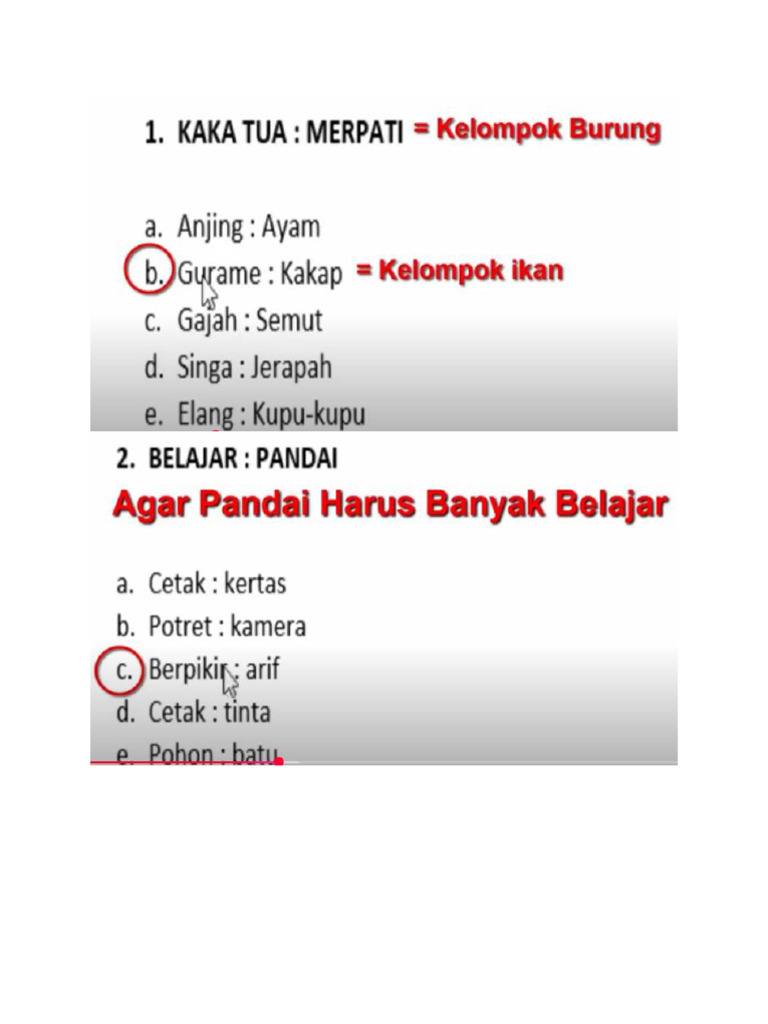 Padanan Kata Dan Silogisme SMA | PDF