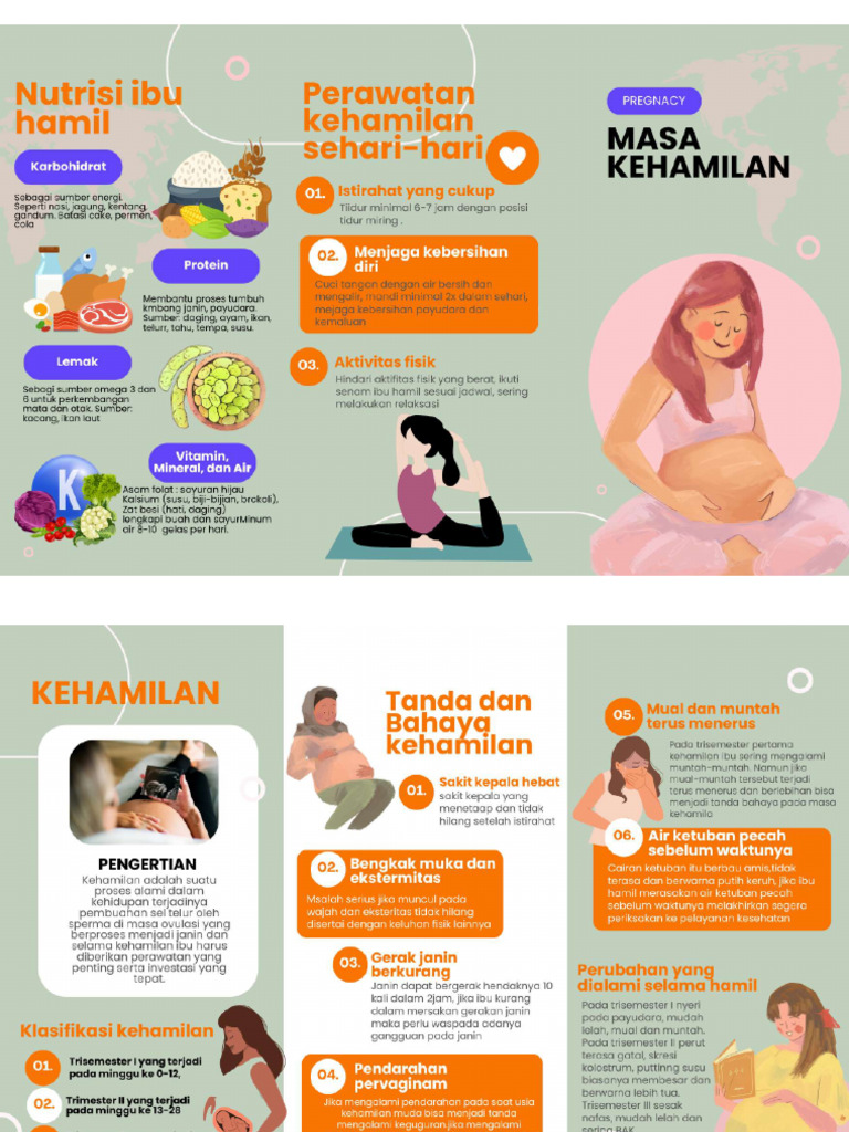 Leaflet Masa Kehamilan | PDF
